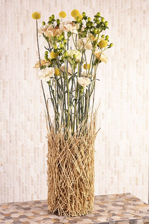 Home - Dianthus Flowers