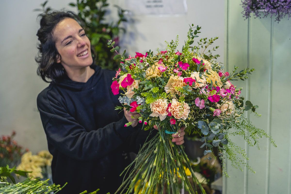 Home - Dianthus Flowers