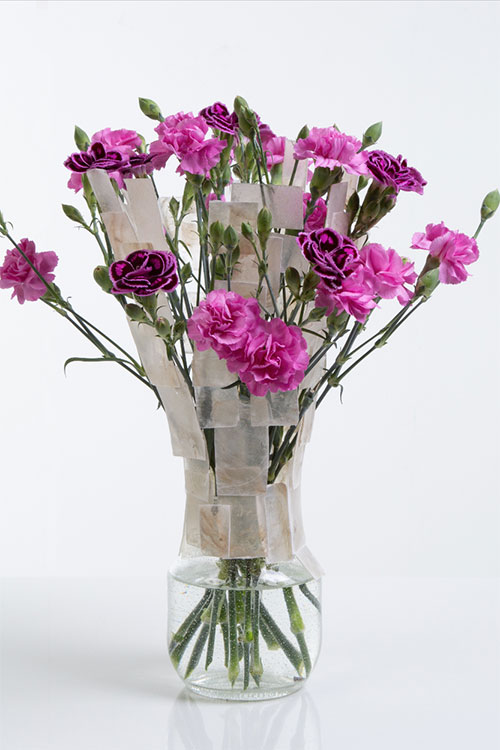 Home - Dianthus Flowers